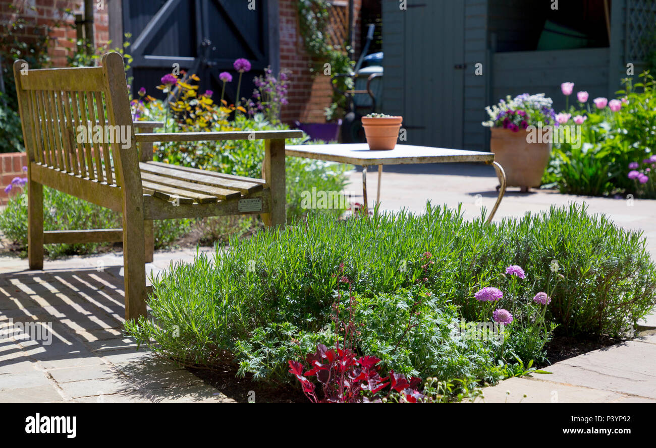 Patio seating area with border containing Lavandula angustifolia ...