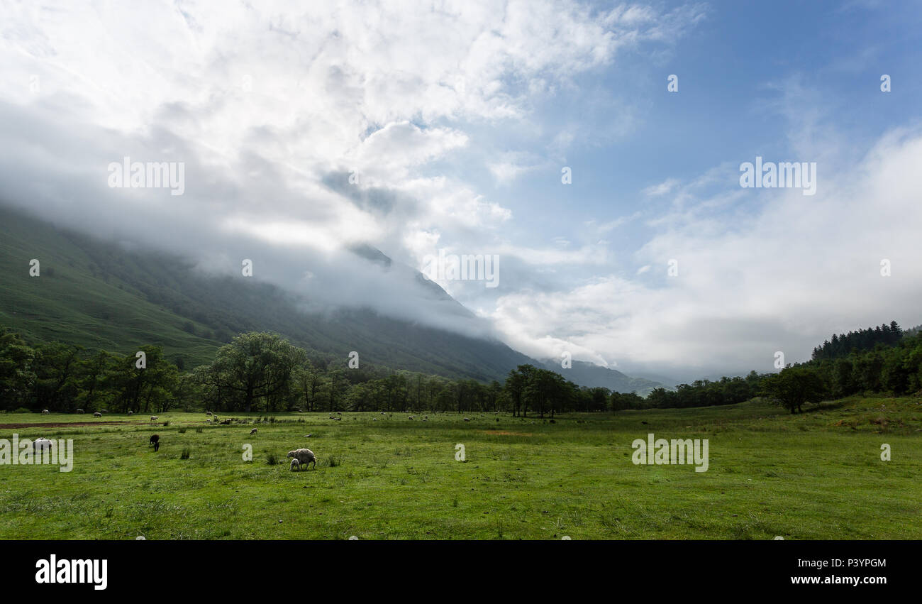 Air Pollution Scotland High Resolution Stock Photography and Images - Alamy