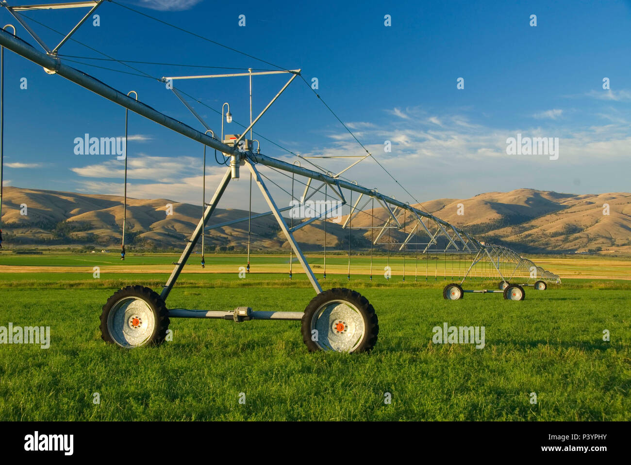 Irrigated pasture hi-res stock photography and images - Alamy
