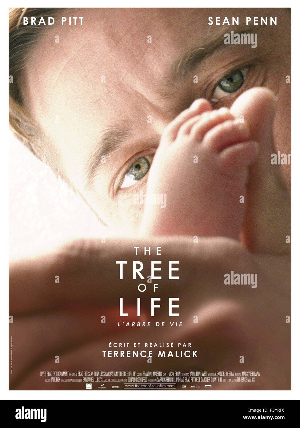 Original Film Title: THE TREE OF LIFE. English Title: THE TREE OF LIFE ...