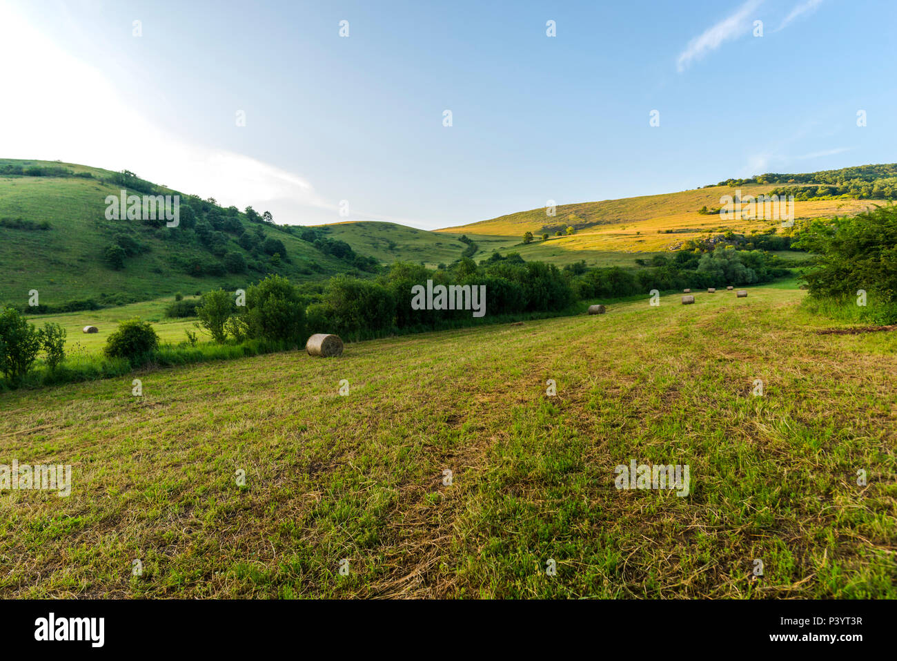 Spring landscape on the hill Stock Photo - Alamy