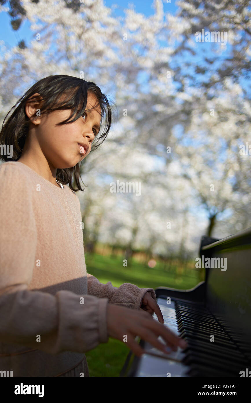 Young Asian girl sitting in the middle of a Japanese Cherry Blossom ...