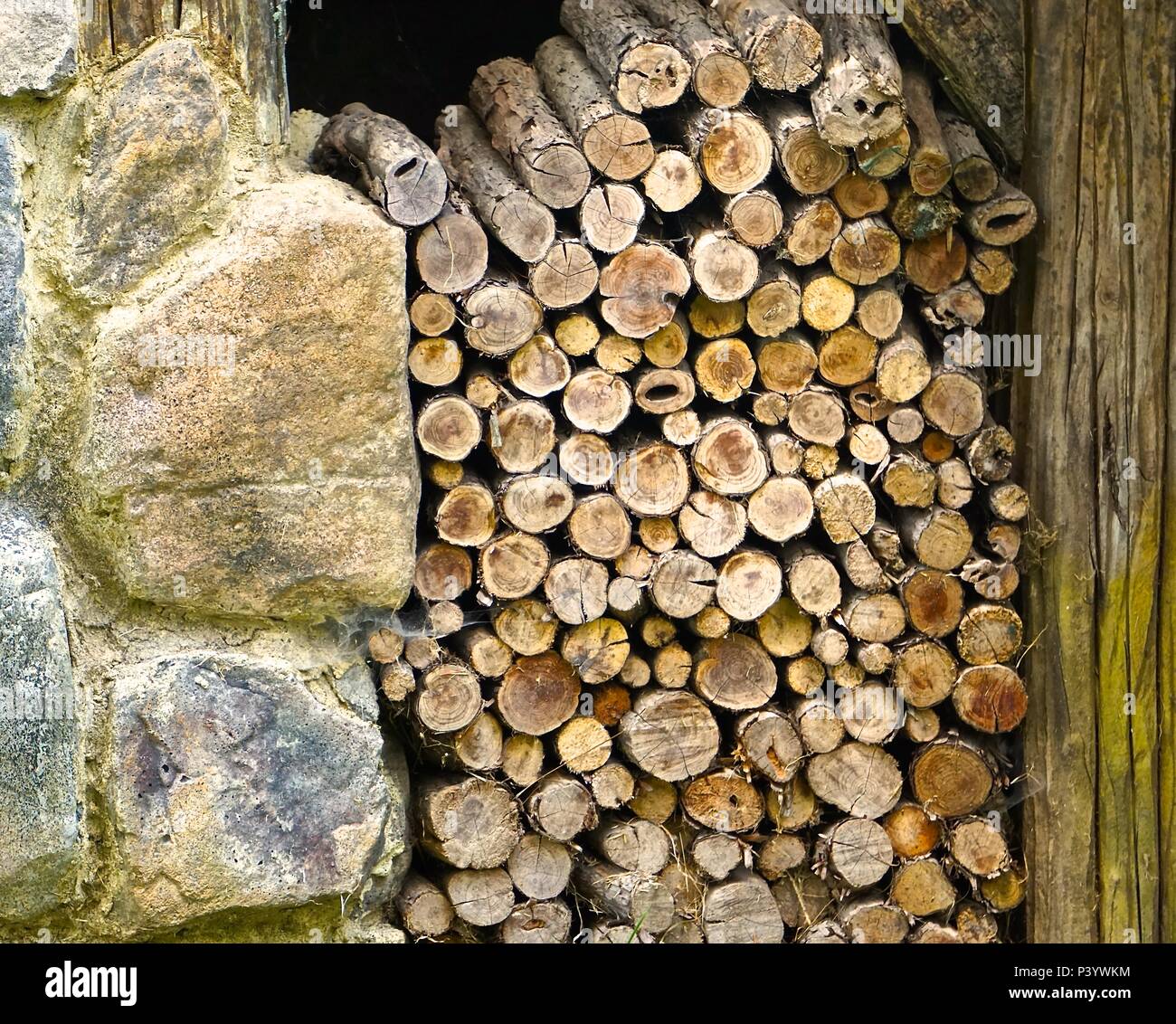 Wood Ready for Winter Stock Photo - Alamy