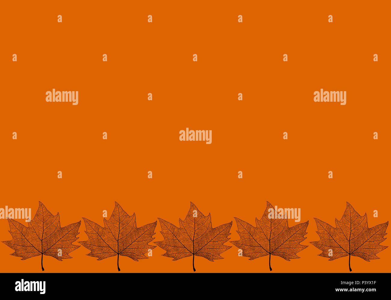 Template with maple leaf on an orange background. Maple leaf patch ...