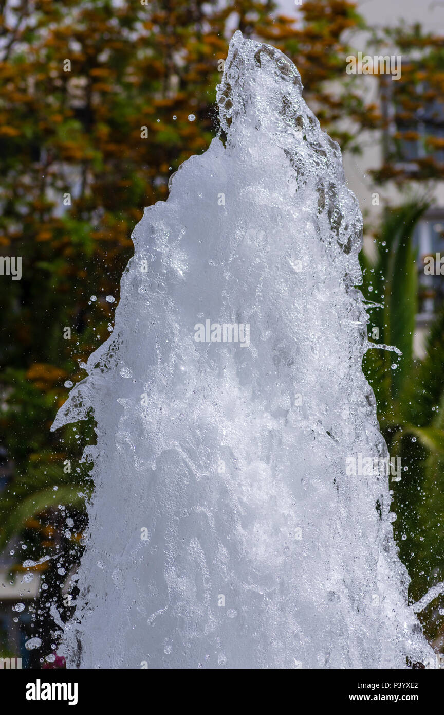 Fountain tree hi-res stock photography and images - Alamy