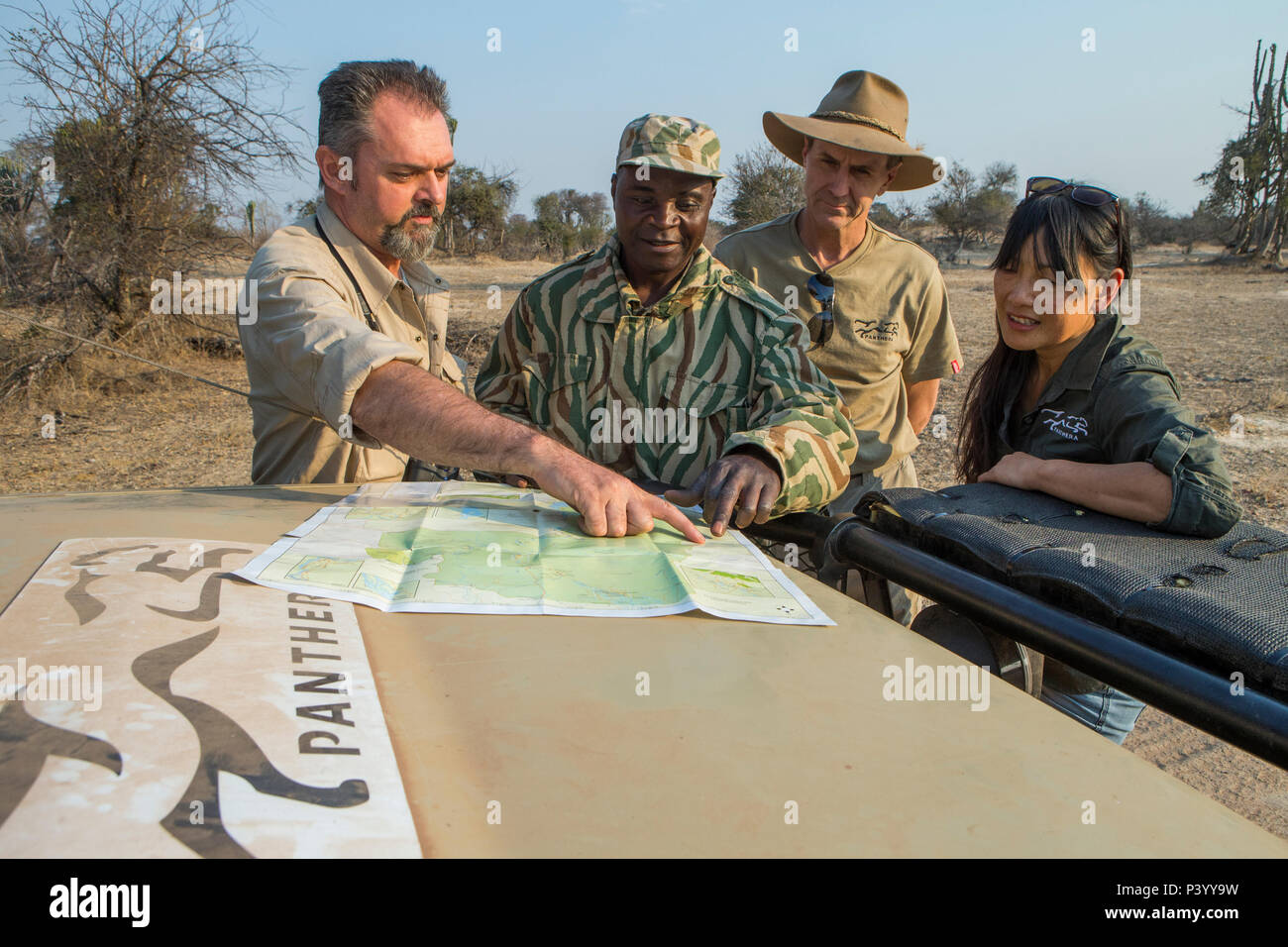African Lion (Panthera leo) biologists, Luke Hunter, Jake Overton, and ...