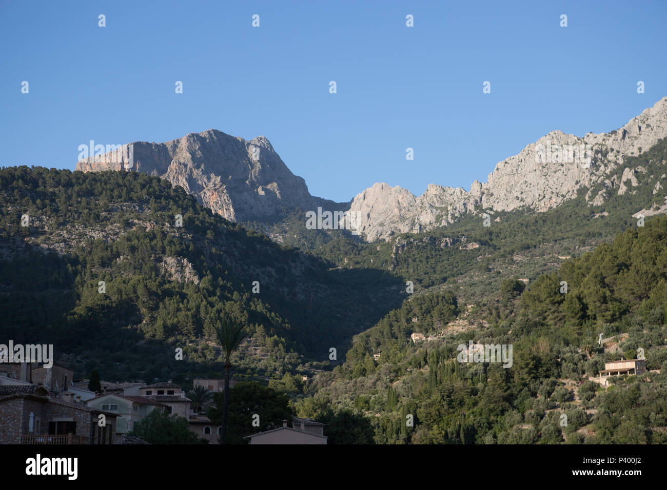 Puig major hi-res stock photography and images - Alamy