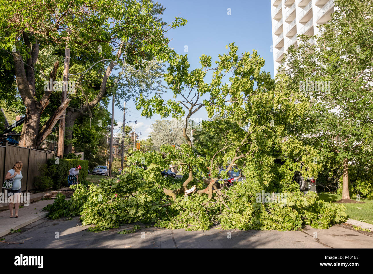 JUNE 13, 2018 - TORONTO, CANADA: AFTERMATH OF RAIN STORM IN THE ANNEX ...