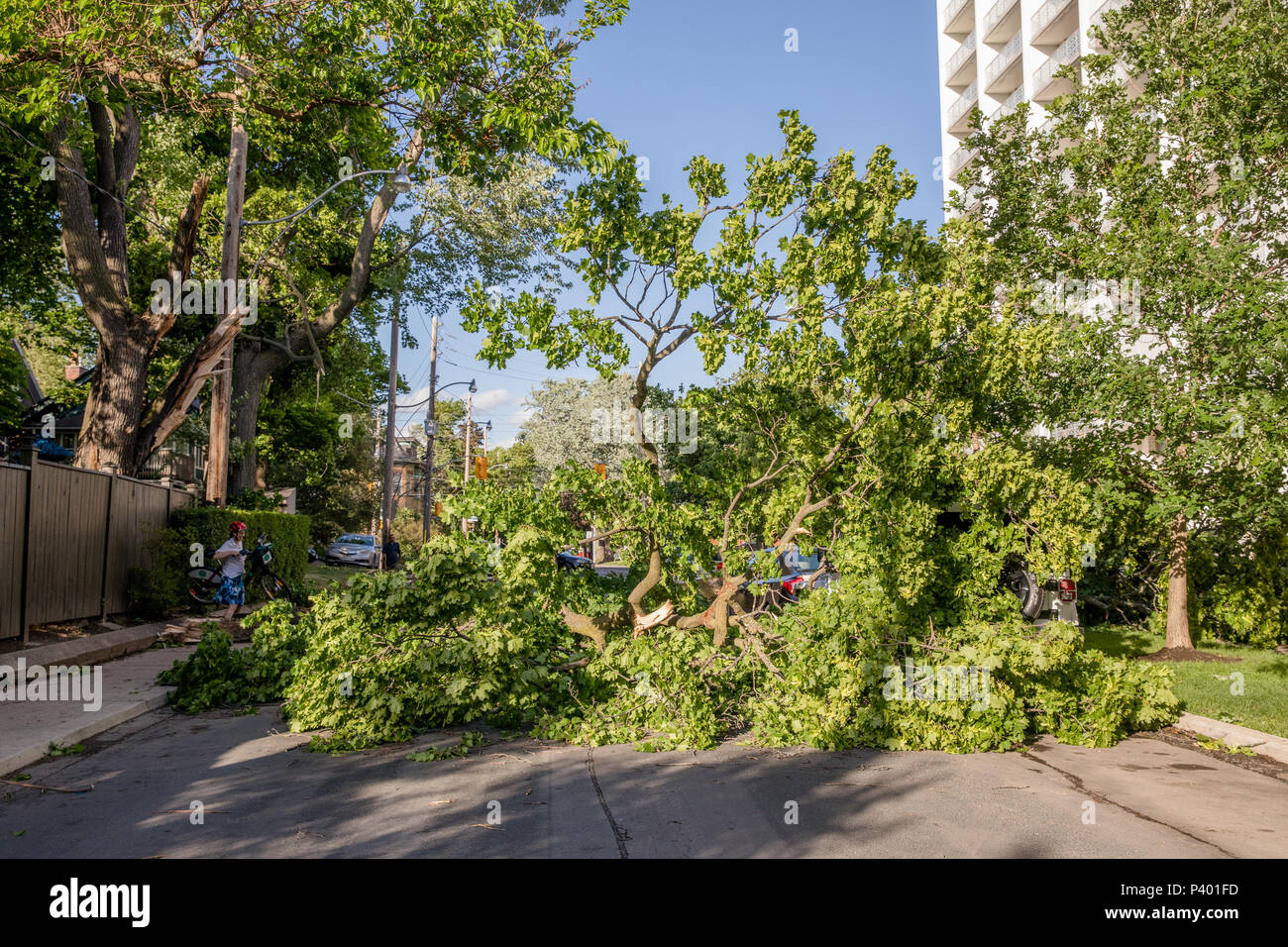 JUNE 13, 2018 - TORONTO, CANADA: AFTERMATH OF RAIN STORM IN THE ANNEX ...