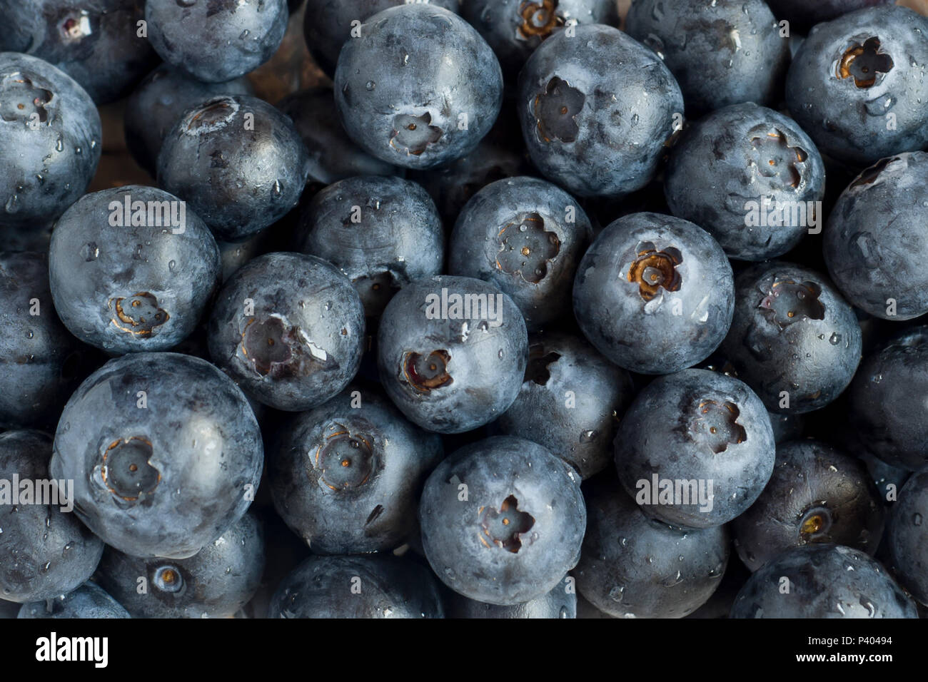 Background of ripe blueberries with dew drops Stock Photo - Alamy