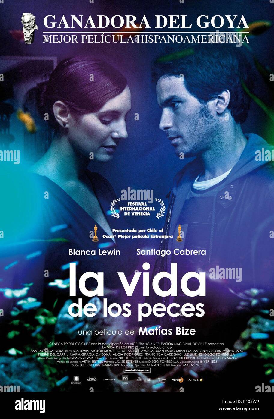 Vida de los peces hi-res stock photography and images - Alamy
