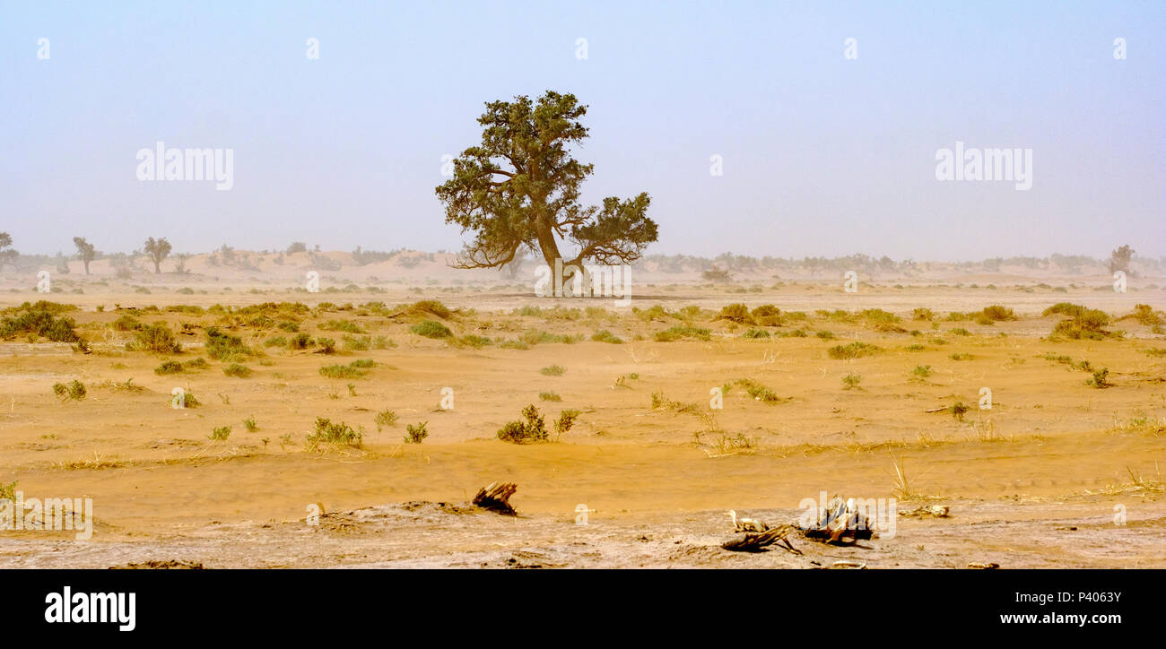 Sahara Dust Storm High Resolution Stock Photography and Images - Alamy
