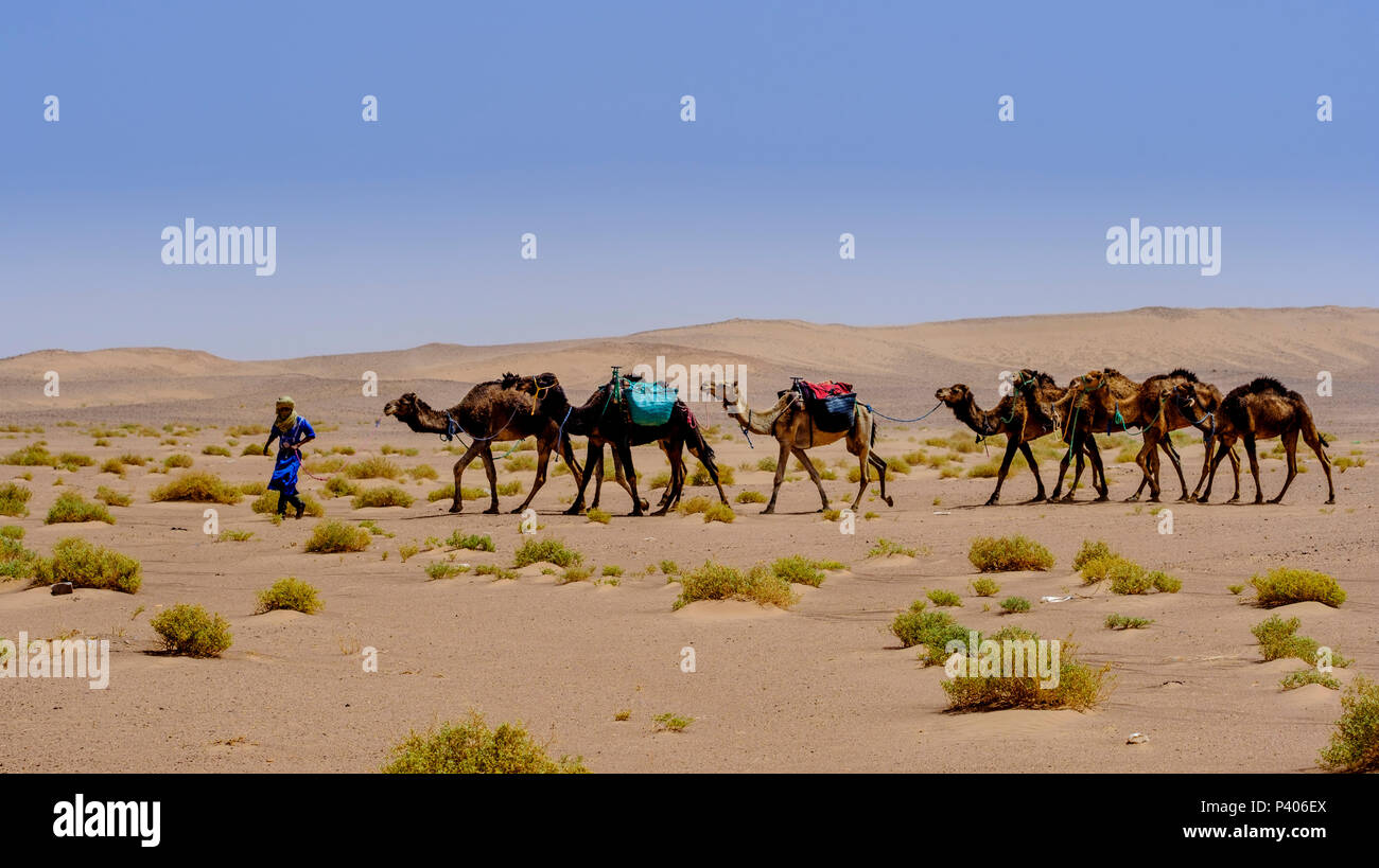 Berber man in traditional dress hi-res stock photography and images - Alamy