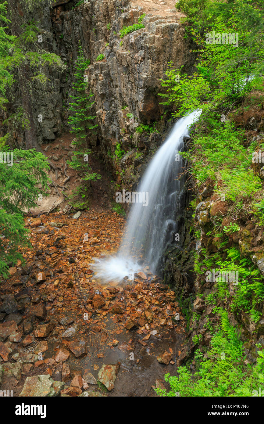 Clark National Forest High Resolution Stock Photography and Images - Alamy