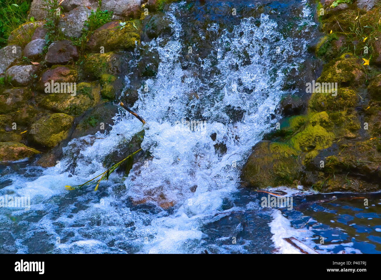 Fall detail hi-res stock photography and images - Alamy
