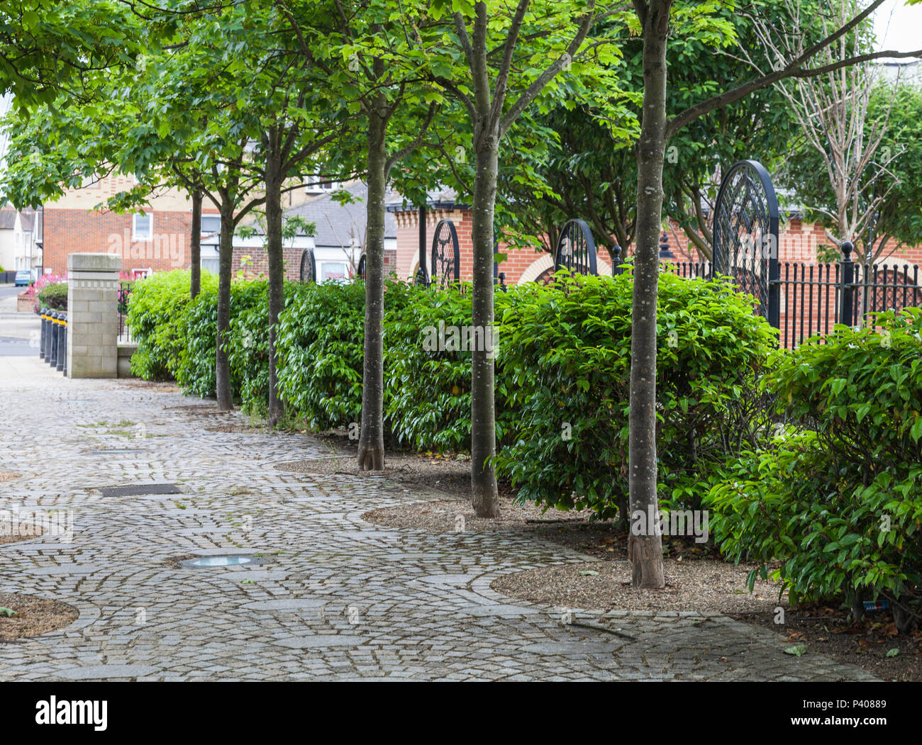 A tree lined pathway at the Headland,Old Hartlepool,England,UK Stock ...