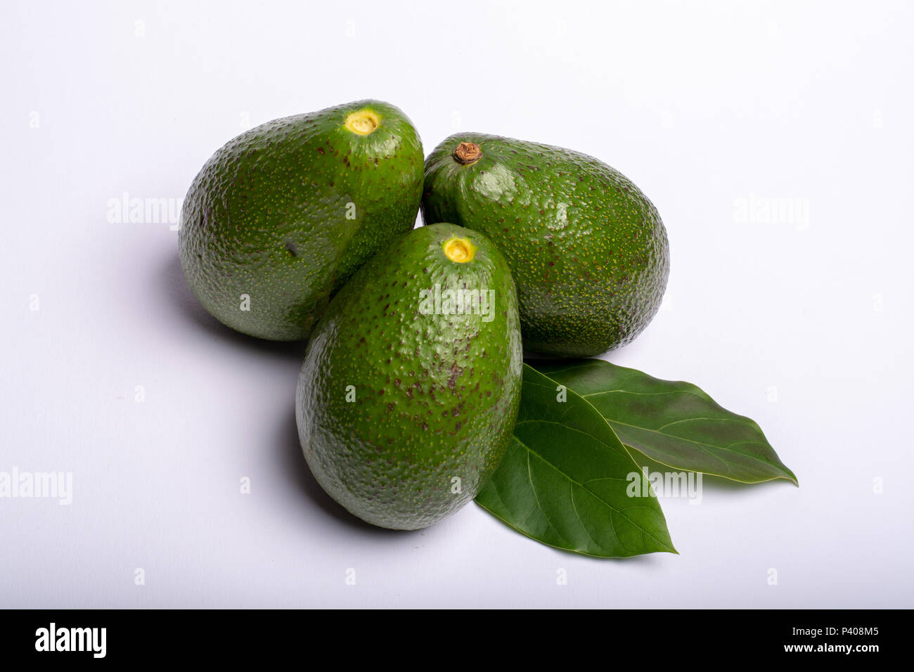 Fresh organic ripe green Fuerte avocado with leaves, copy space close ...