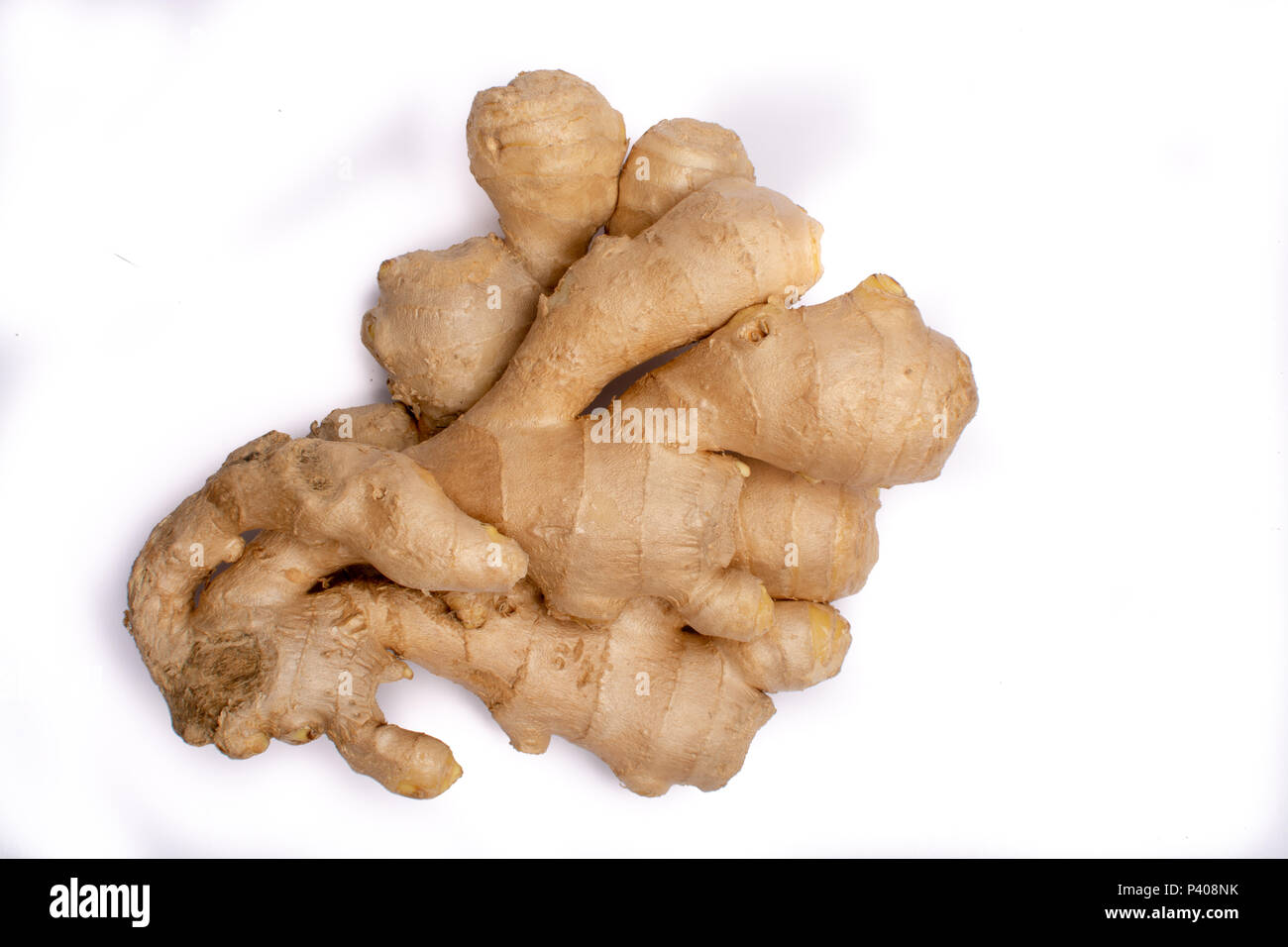 Fresh big ginger root close up copy space isolated on white background ...