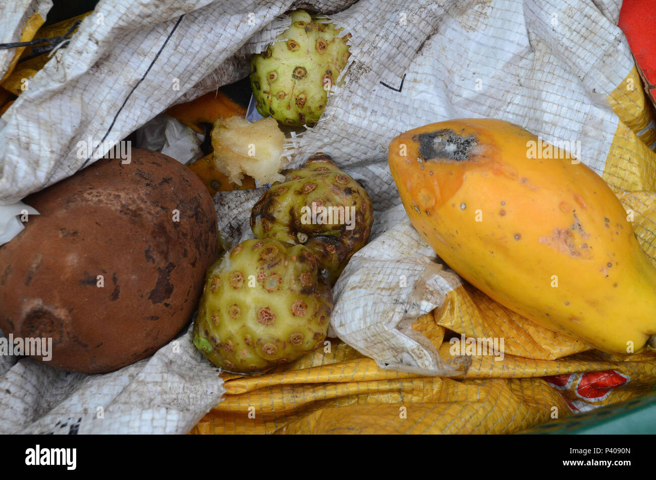 Dom Murilo Krieger completou 74 anos de vida nesta terça-feira (19). O ...
