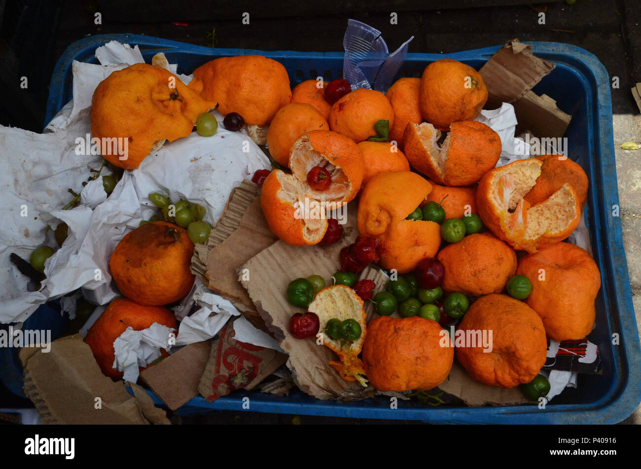 Dom Murilo Krieger completou 74 anos de vida nesta terça-feira (19). O ...