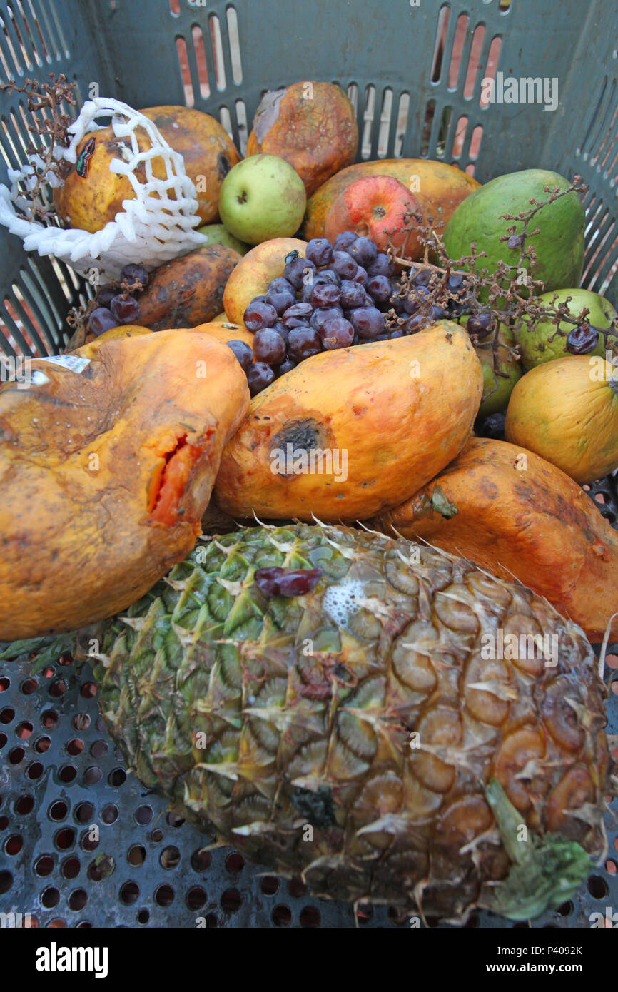 Frutas podres jogadas fora em lixo de supermercado Stock Photo - Alamy