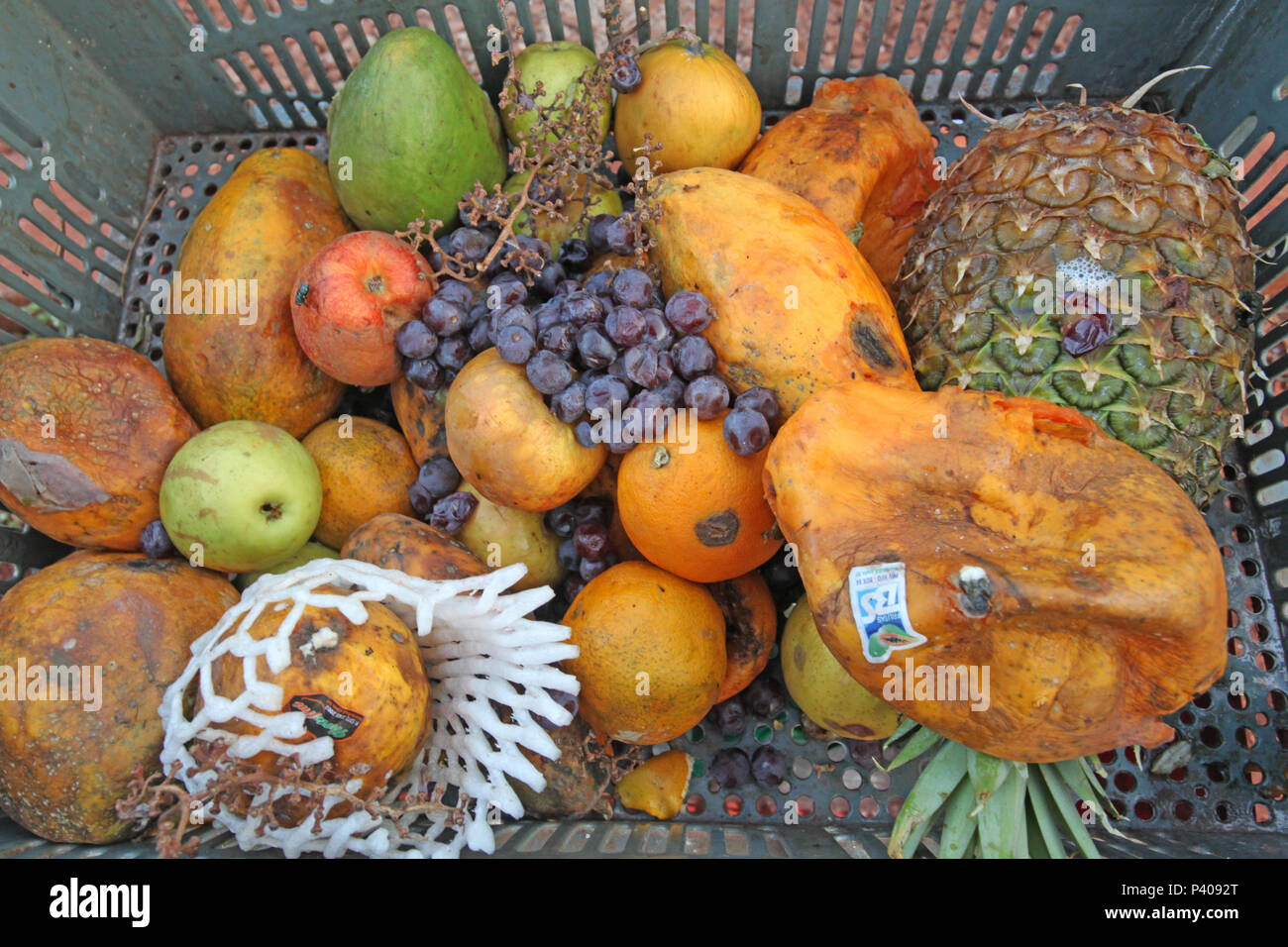 Frutas podres jogadas fora em lixo de supermercado Stock Photo - Alamy