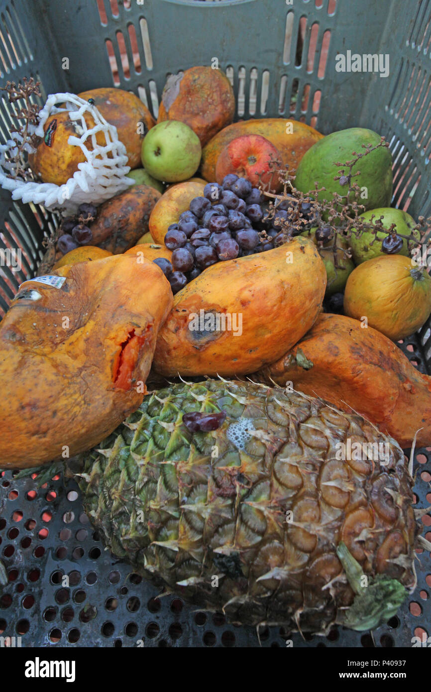 Frutas podres jogadas fora em lixo de supermercado Stock Photo - Alamy