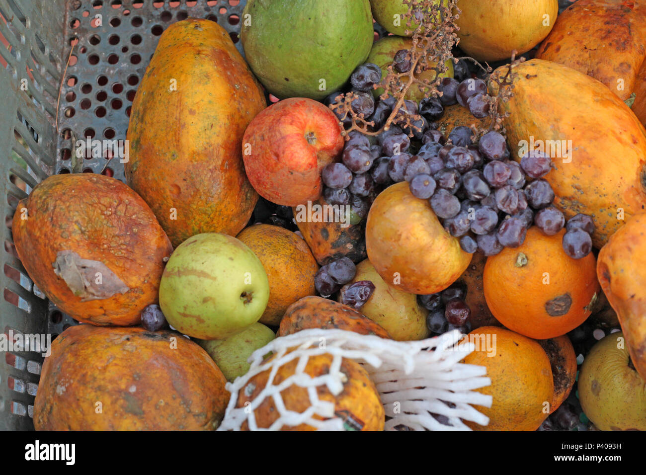 Frutas podres jogadas fora em lixo de supermercado Stock Photo - Alamy