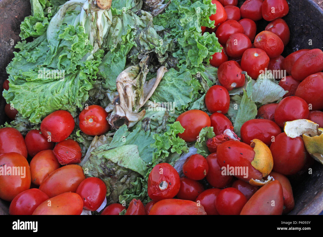 Frutas podres jogadas fora em lixo de supermercado. Na foto, verduras ...