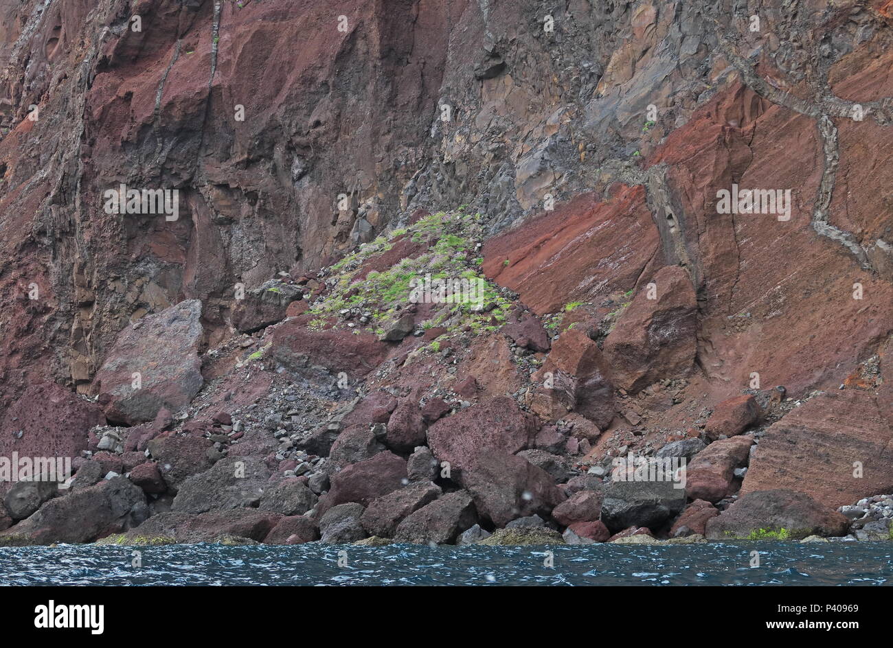 twisted rock formations in cliff with vegetation growing on scree slope ...