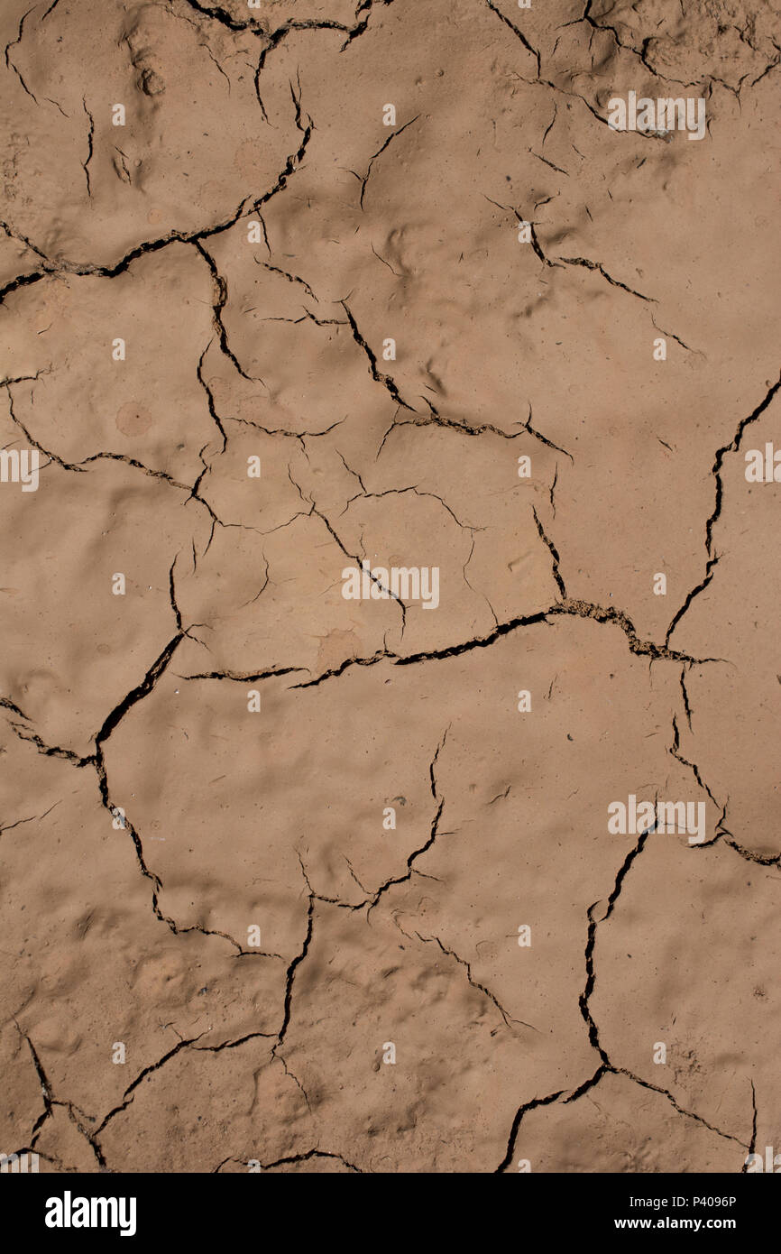 Brown color dry cracked muddy earth as a background texture Stock Photo ...