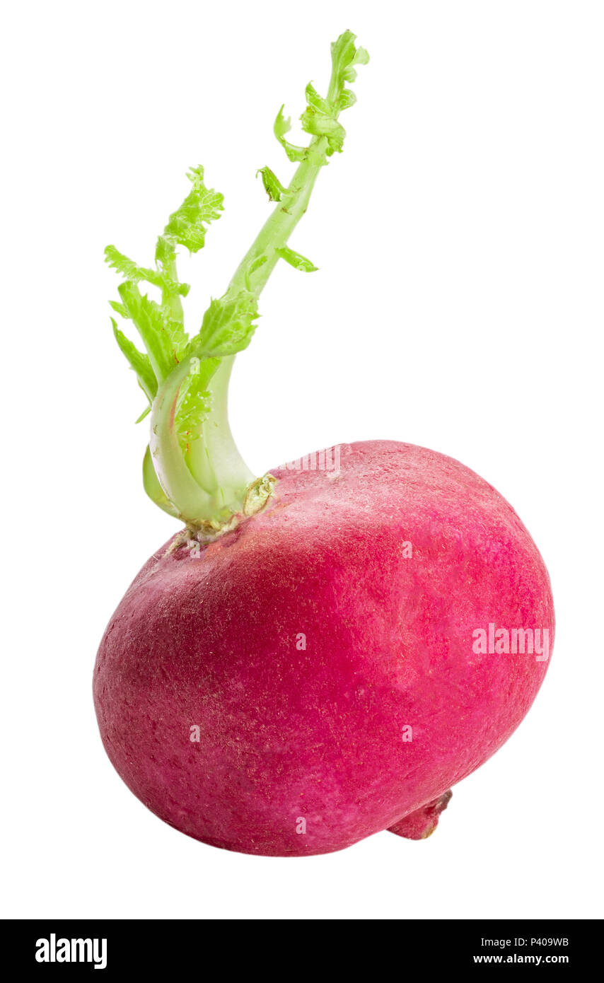 Red radish isolated on white background Stock Photo - Alamy