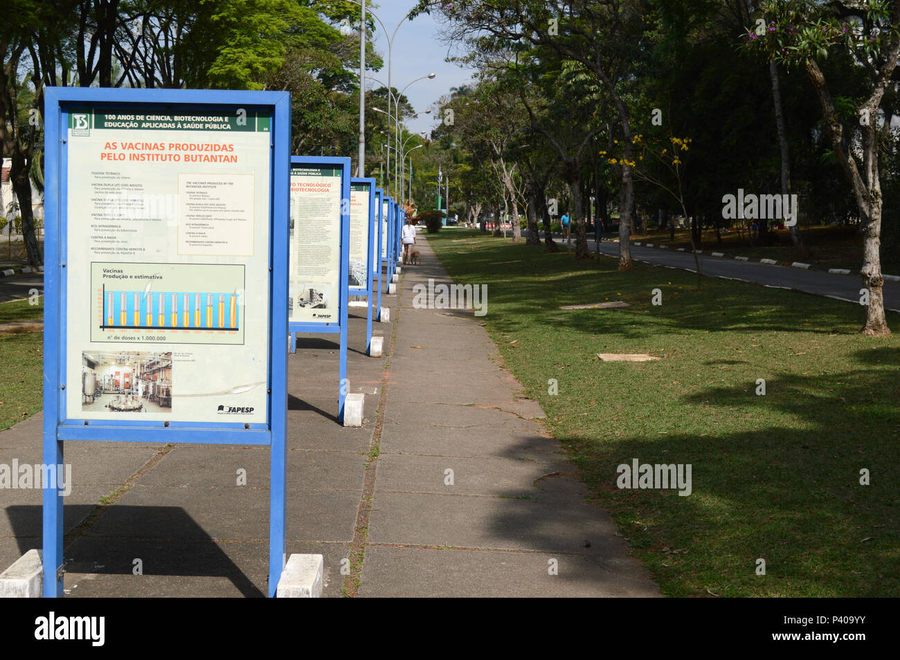 The instituto butantan hi-res stock photography and images - Alamy