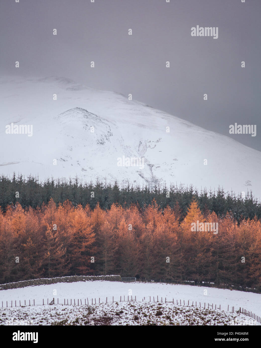 Autumn winter seasons hi-res stock photography and images - Alamy