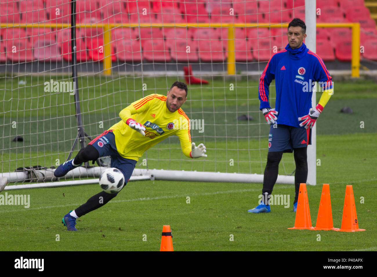 Colombia goalkeeper david ospina hi-res stock photography and images ...