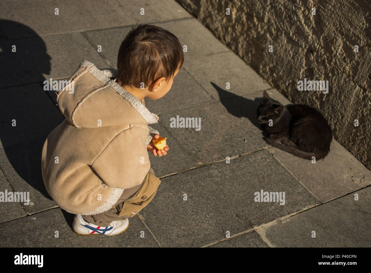 Another portrait of the homeless street cat Stock Photo - Alamy