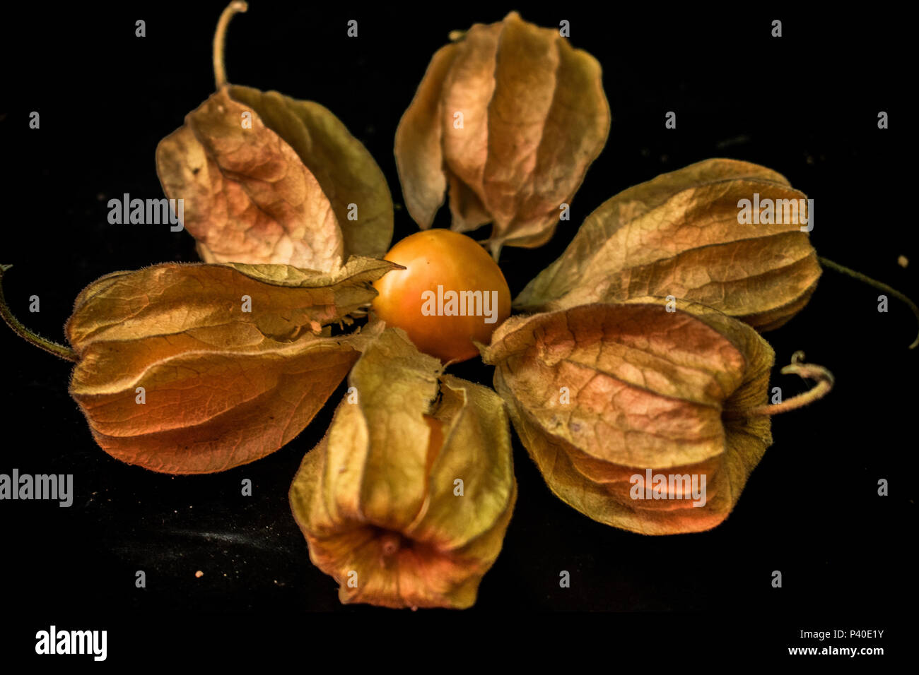 Jungle fruit hi-res stock photography and images - Alamy