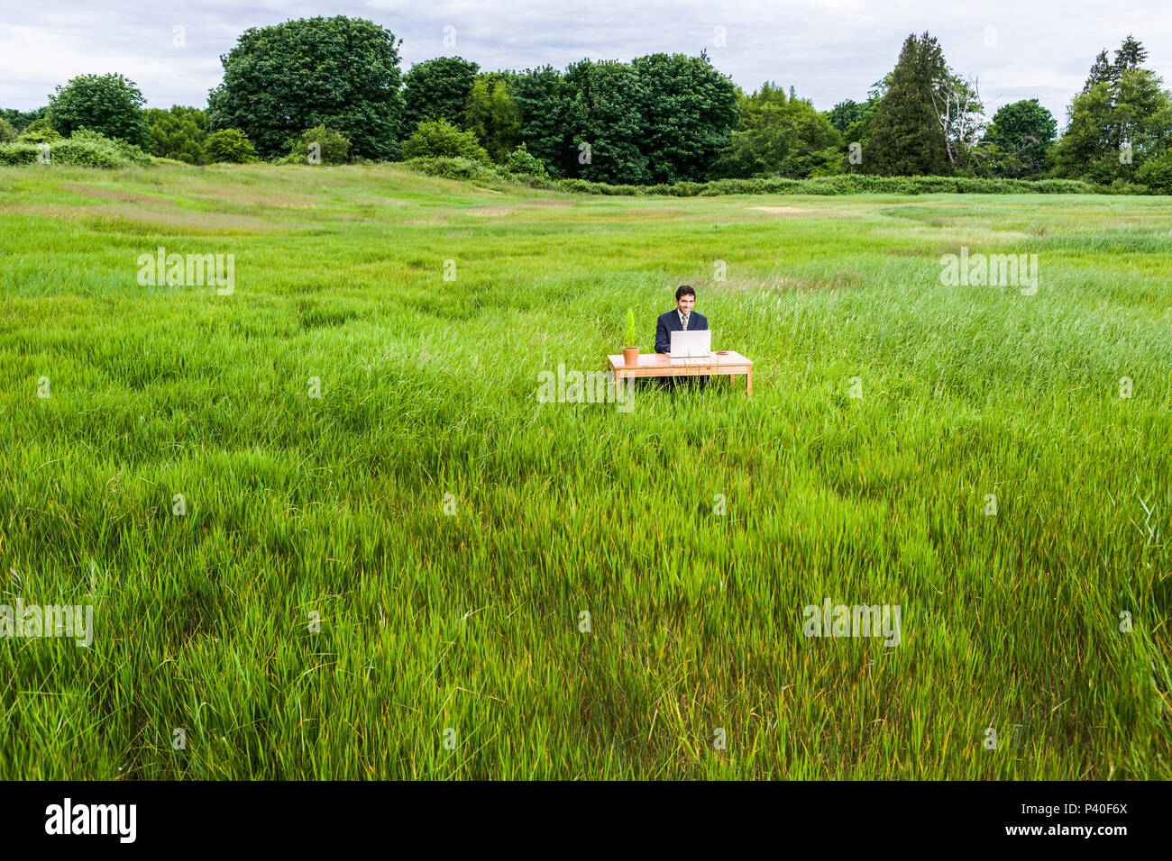 A businessman sitting at a desk in a green grassy field working on a ...