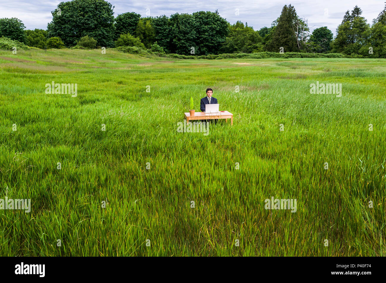 A businessman sitting at a desk in a green grassy field working on a ...