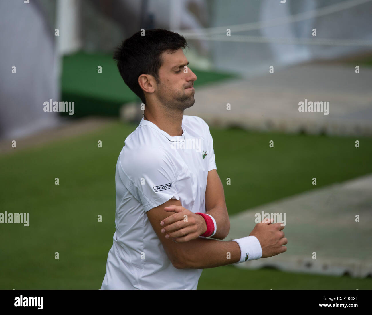 The Queen’s Club, London, UK. 19 June, 2018. Day 2 with Novak Djokovic ...