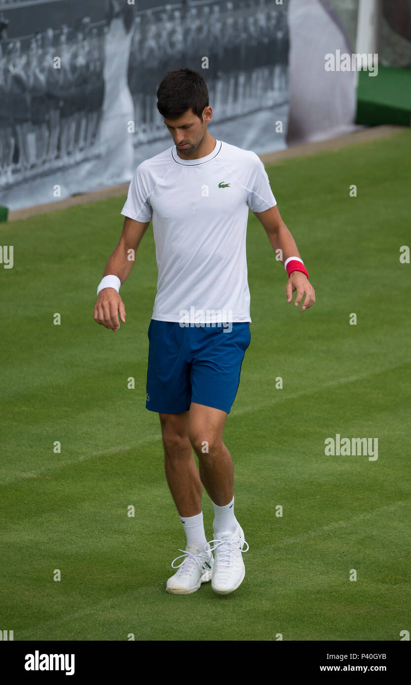 The Queen’s Club, London, UK. 19 June, 2018. Day 2 with Novak Djokovic ...