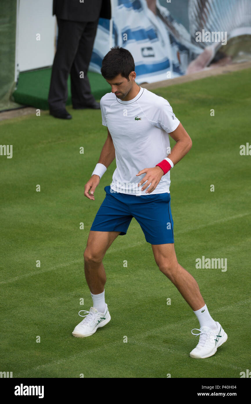 The Queen’s Club, London, UK. 19 June, 2018. Day 2 with Novak Djokovic ...