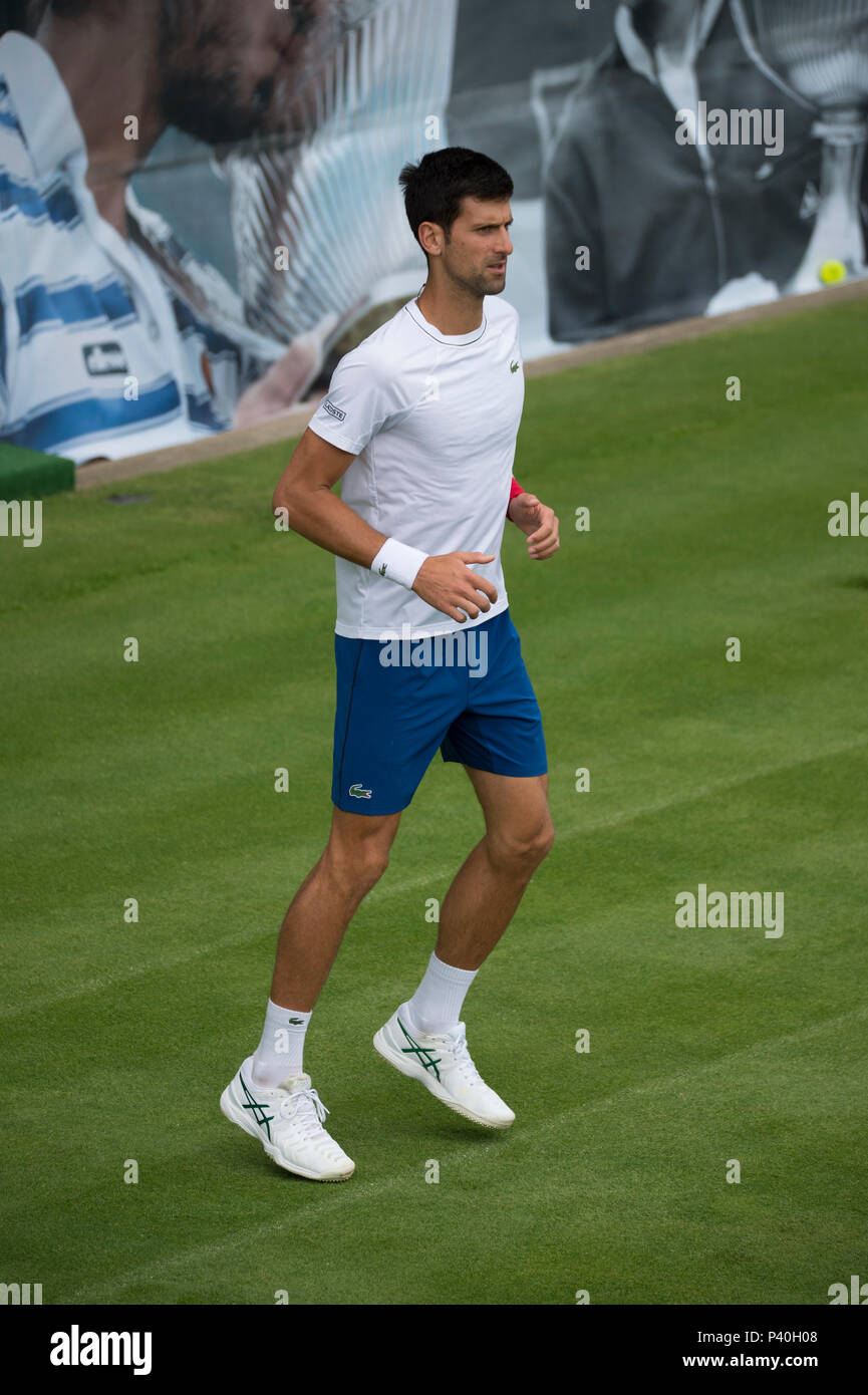 The Queen’s Club, London, UK. 19 June, 2018. Day 2 with Novak Djokovic ...