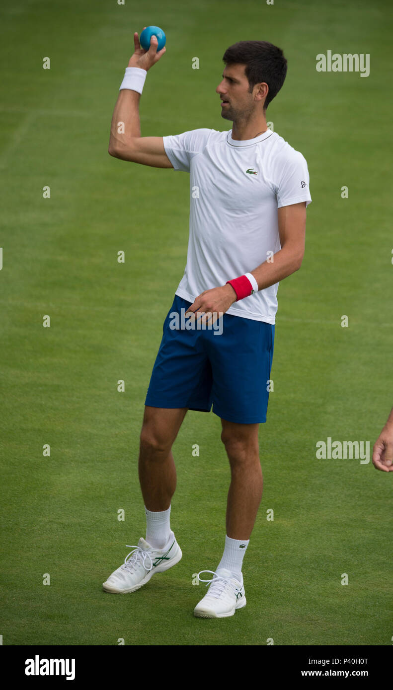 Novak djokovic stretching hi-res stock photography and images - Alamy