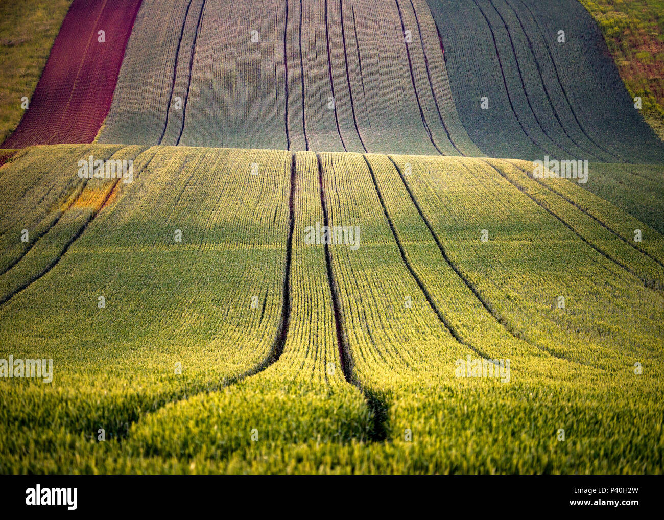 Southern moravia fields hi-res stock photography and images - Alamy