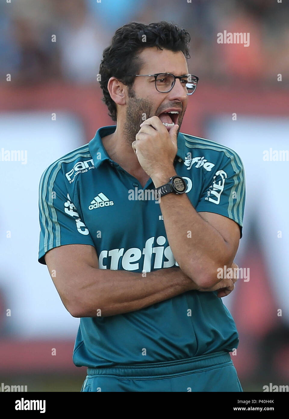 O técnico Alberto Valentim, da SE Palmeiras, em jogo contra a equipe do ...