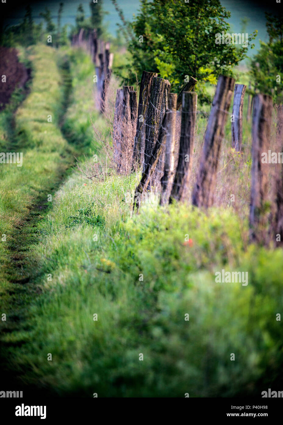 Landscape in southern Moravia Stock Photo - Alamy