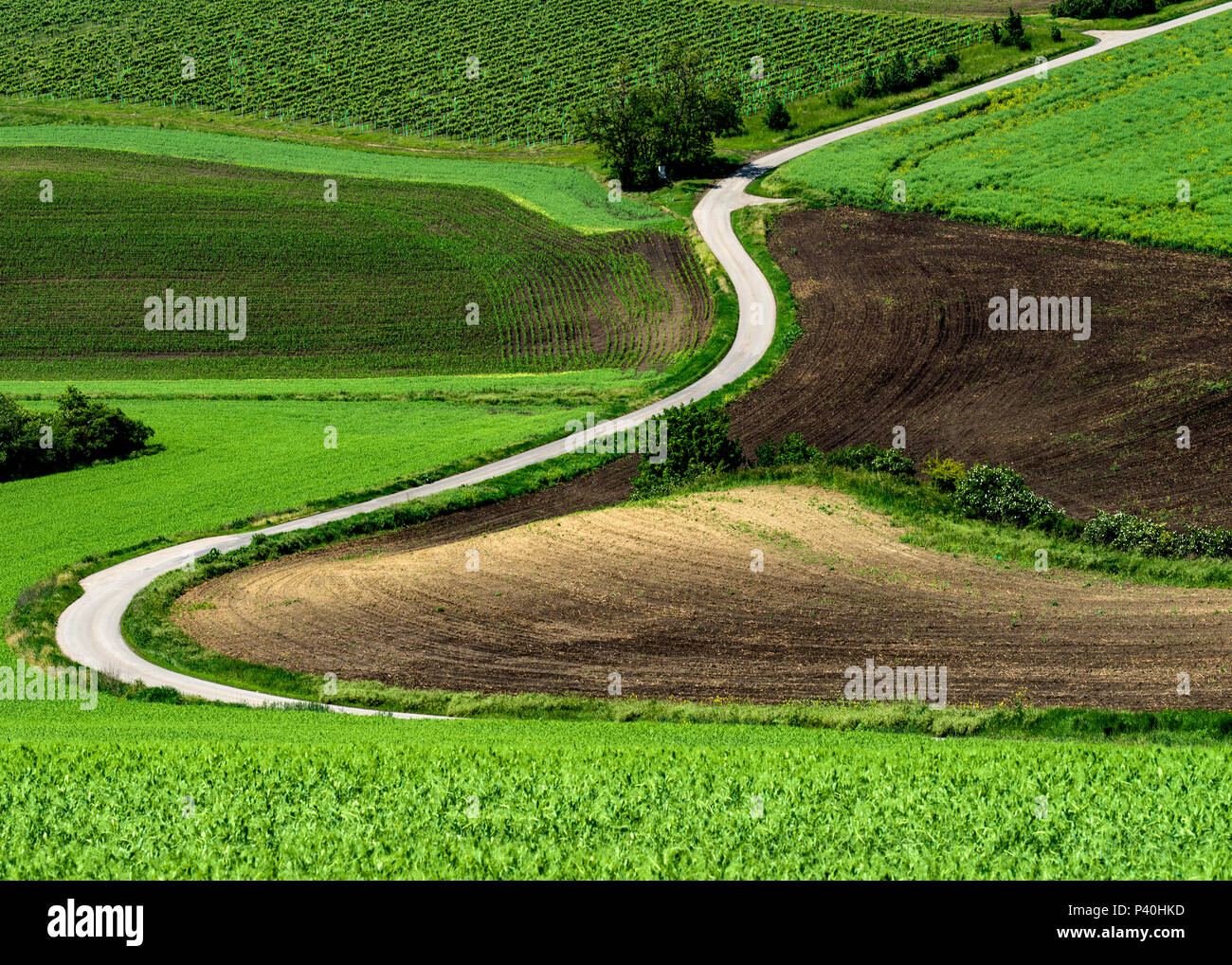 Southern moravia fields hi-res stock photography and images - Alamy