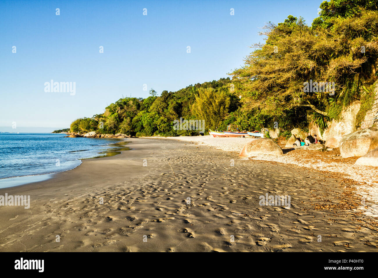 Praia da Daniela. Florianópolis, Santa Catarina, Brasil Stock Photo - Alamy