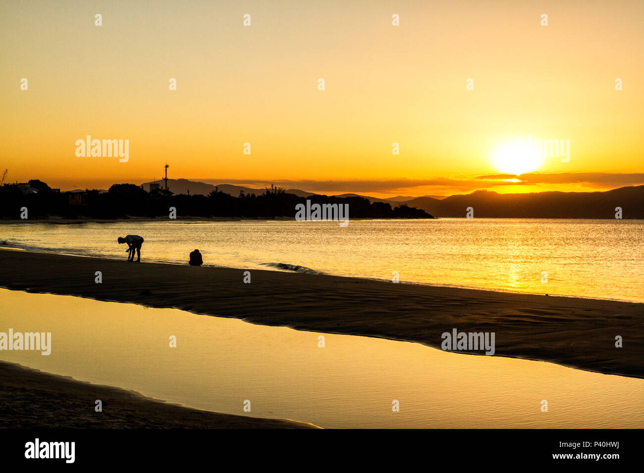 Por do sol na Praia da Daniela. Florianópolis, Santa Catarina, Brasil ...